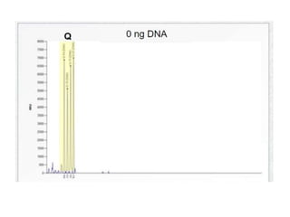 MLPA_Multiple Ligation - dependent probe amplification.pptx | Chemistry ...