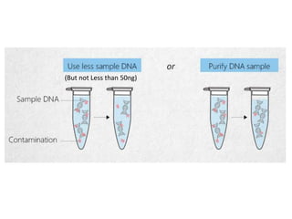 MLPA_Multiple Ligation - dependent probe amplification.pptx | Chemistry ...
