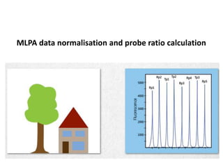 MLPA_Multiple Ligation - dependent probe amplification.pptx
