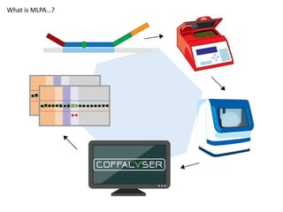 MLPA_Multiple Ligation - dependent probe amplification.pptx