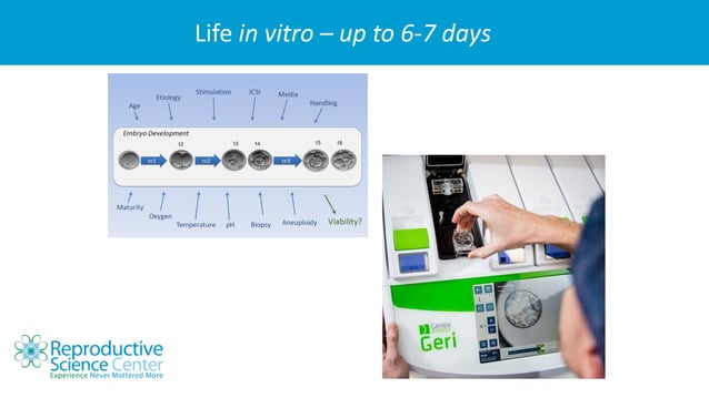 Machine Learning in Reproductive Science: Human Embryo Selection and ...