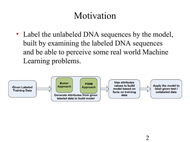 Final Project Transciption Factor Dna Binding Prediction Ppt