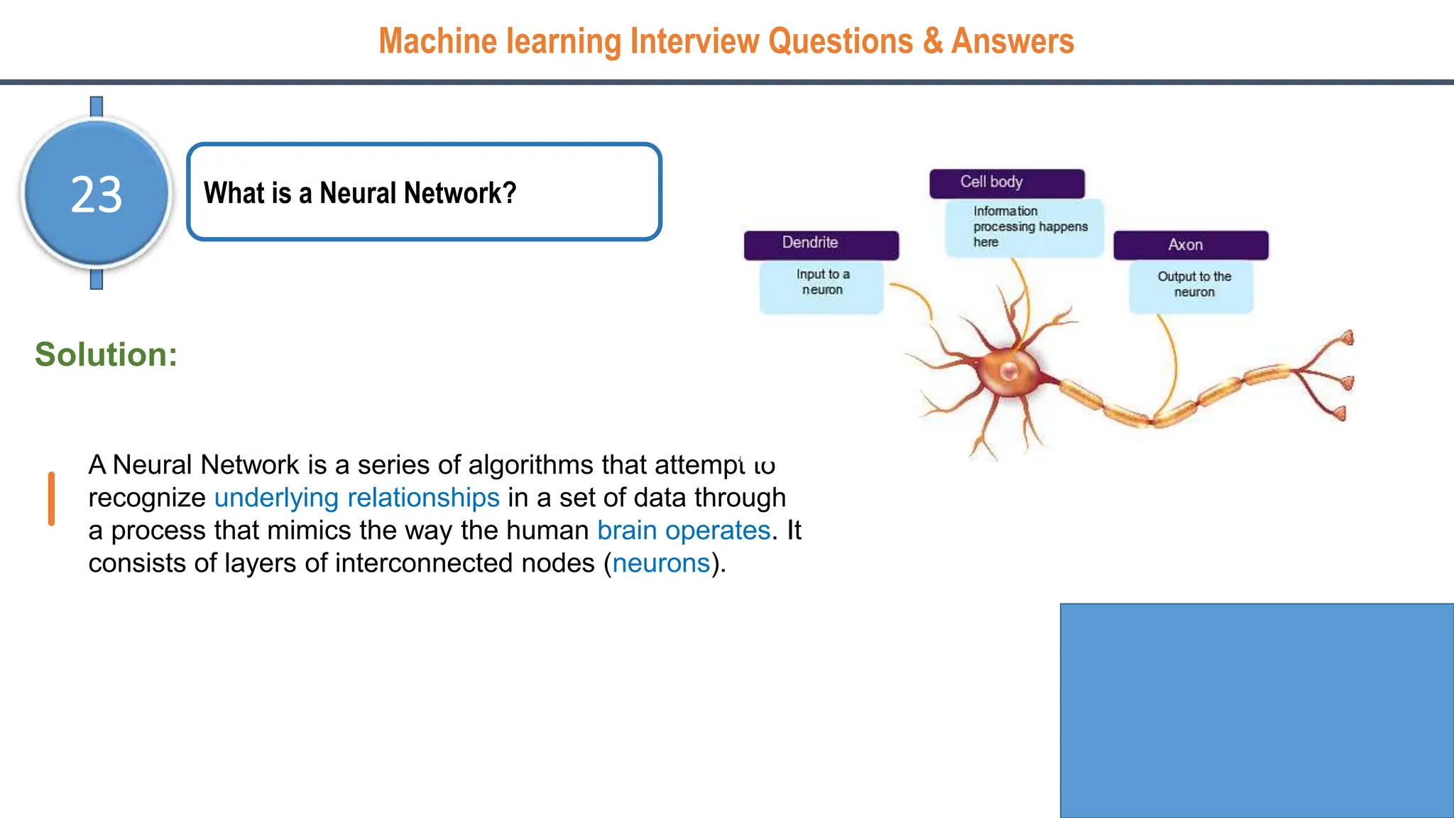 Machine Learning Interview Questions 2024 | ML Interview Questions And Answers 2024 ...