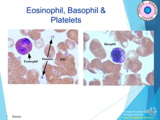Hematology Part 2 - White blood cells | PPTX