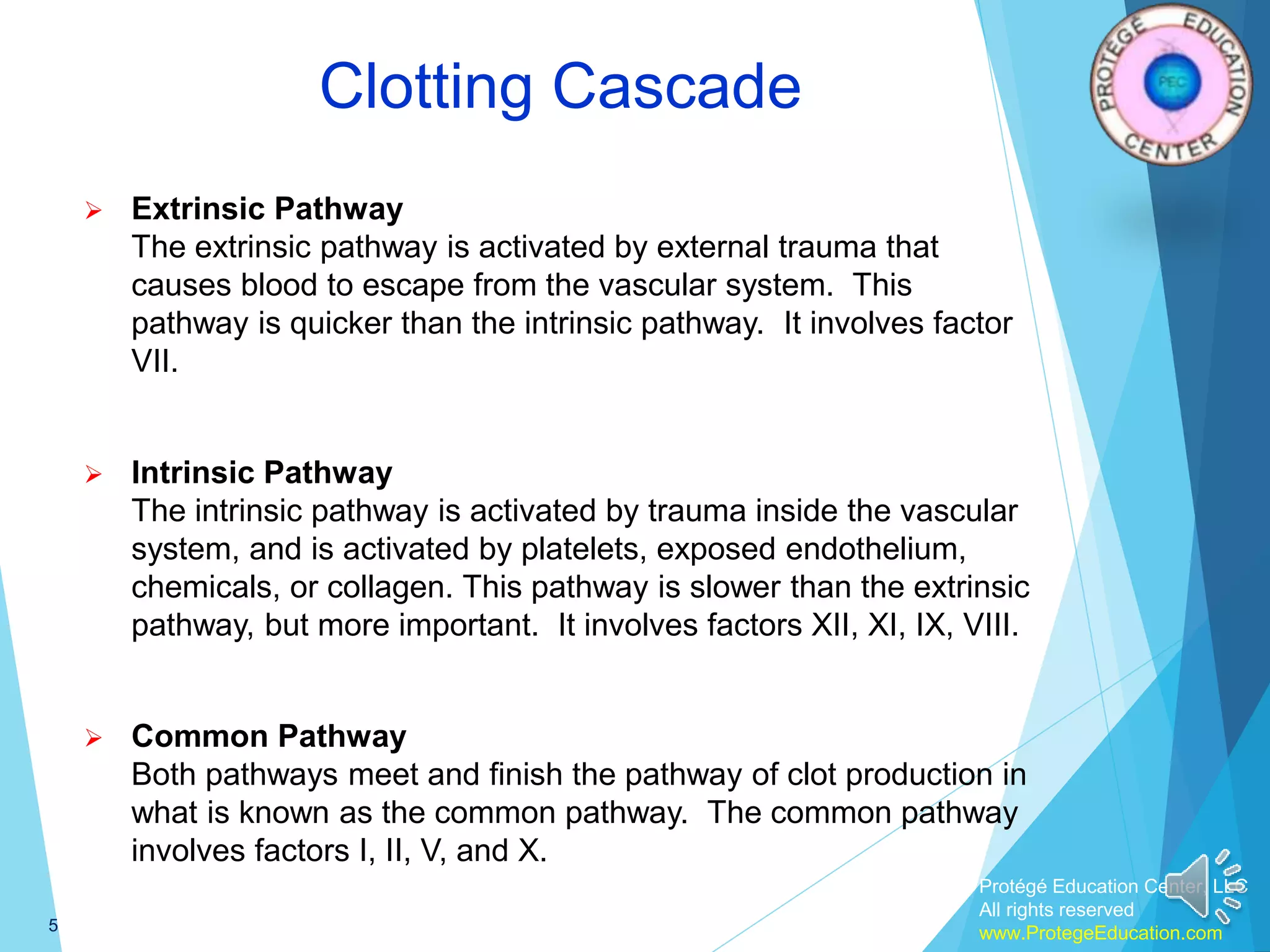 Hematology: Blood coagulation | PPTX