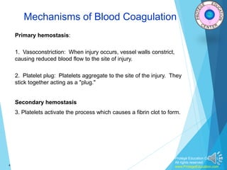 Hematology: Blood coagulation | PPTX