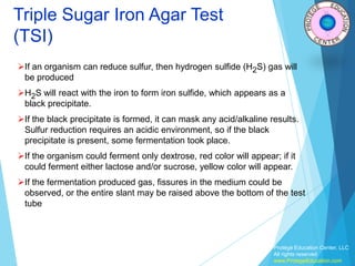 Medical Laboratory Scientist-microbiology summary | PPT
