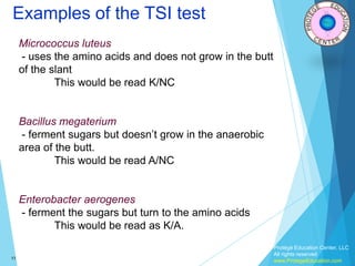 Medical Laboratory Scientist-microbiology summary | PPT