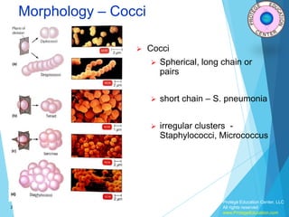 Medical Laboratory Scientist-microbiology summary | PPT