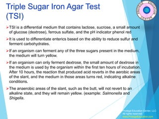 Medical Laboratory Scientist-microbiology summary | PPT