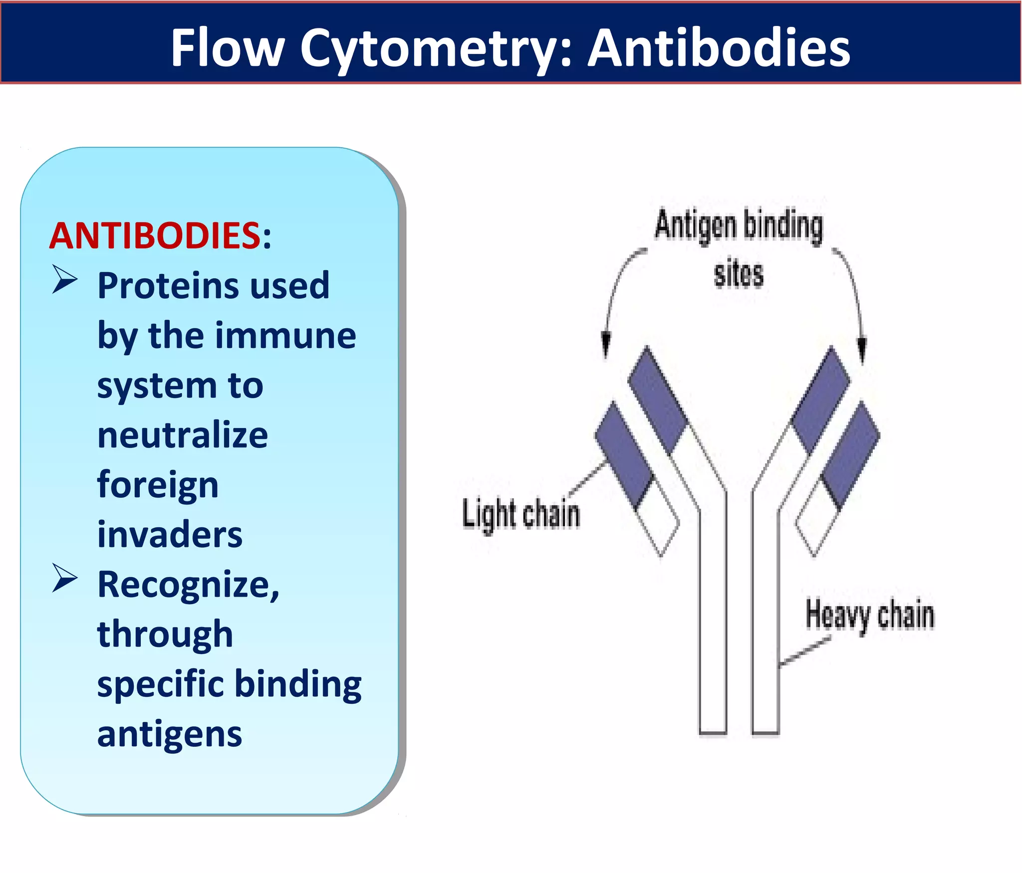 Basics of Flow cytometry by Prof. Mohamed Labib Salem | PPT