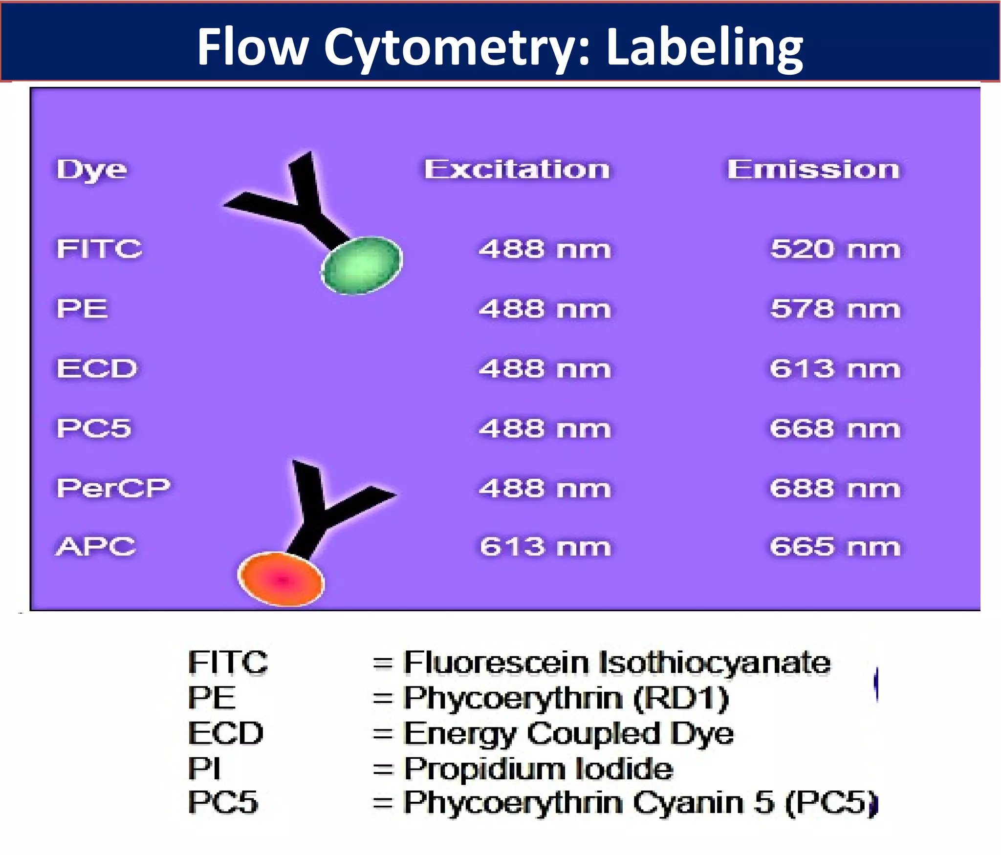 Basics of Flow cytometry by Prof. Mohamed Labib Salem | PPT