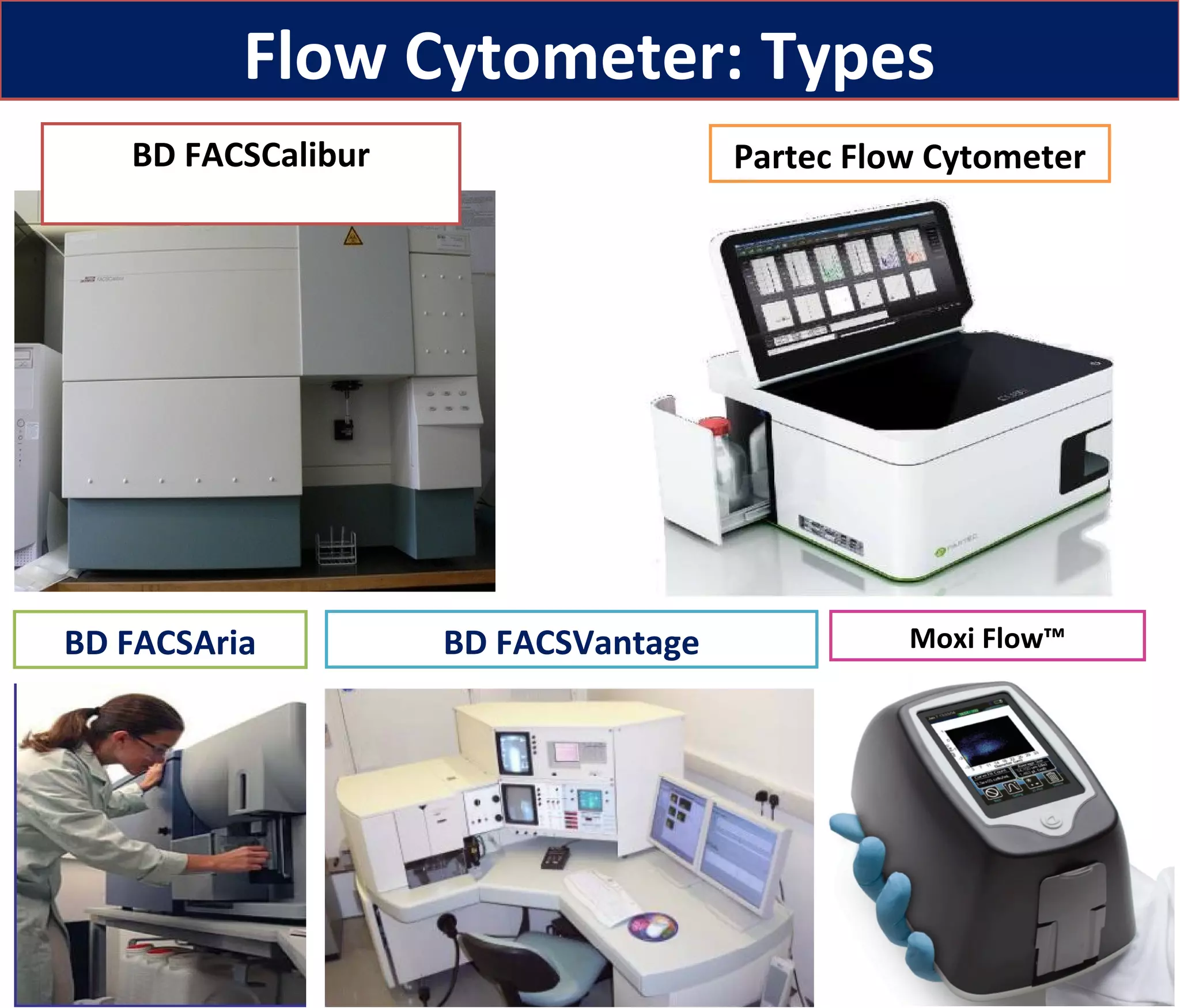 Basics of Flow cytometry by Prof. Mohamed Labib Salem | PPT