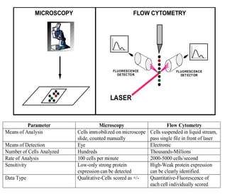 Basics of Flow cytometry by Prof. Mohamed Labib Salem | PPT