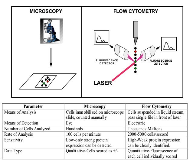 Basics of Flow cytometry by Prof. Mohamed Labib Salem