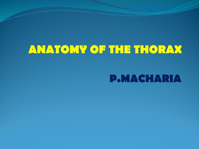 MLS ANATOMY OF THE THORAX.pptx edited by pantic miazga oguda | PPT