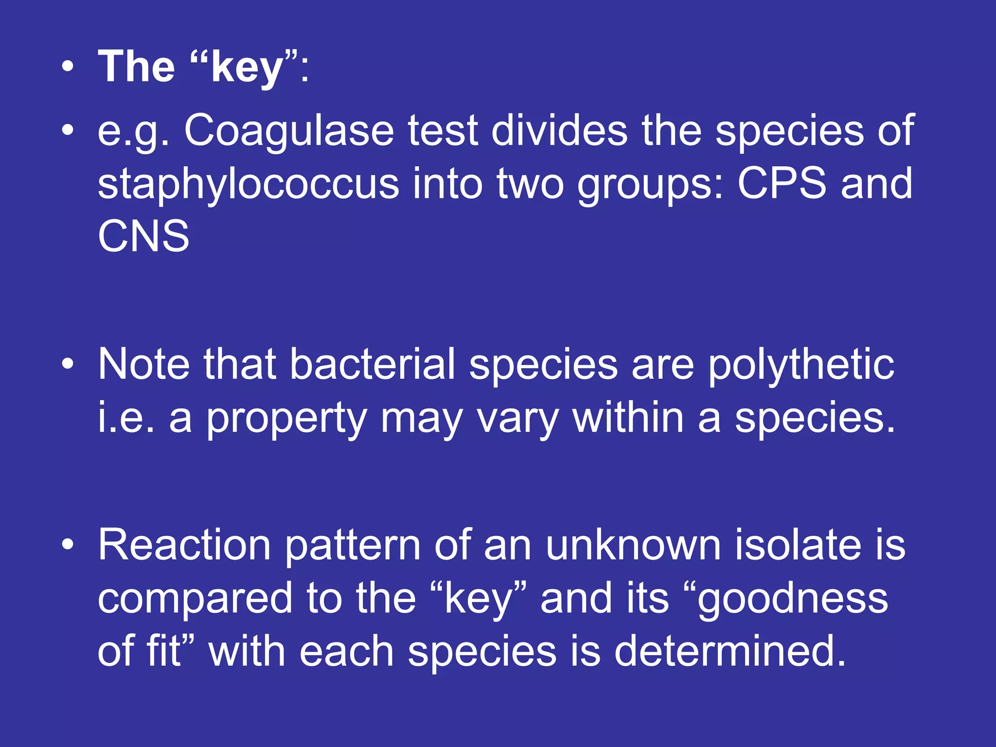 Classification of bacteria.ppt