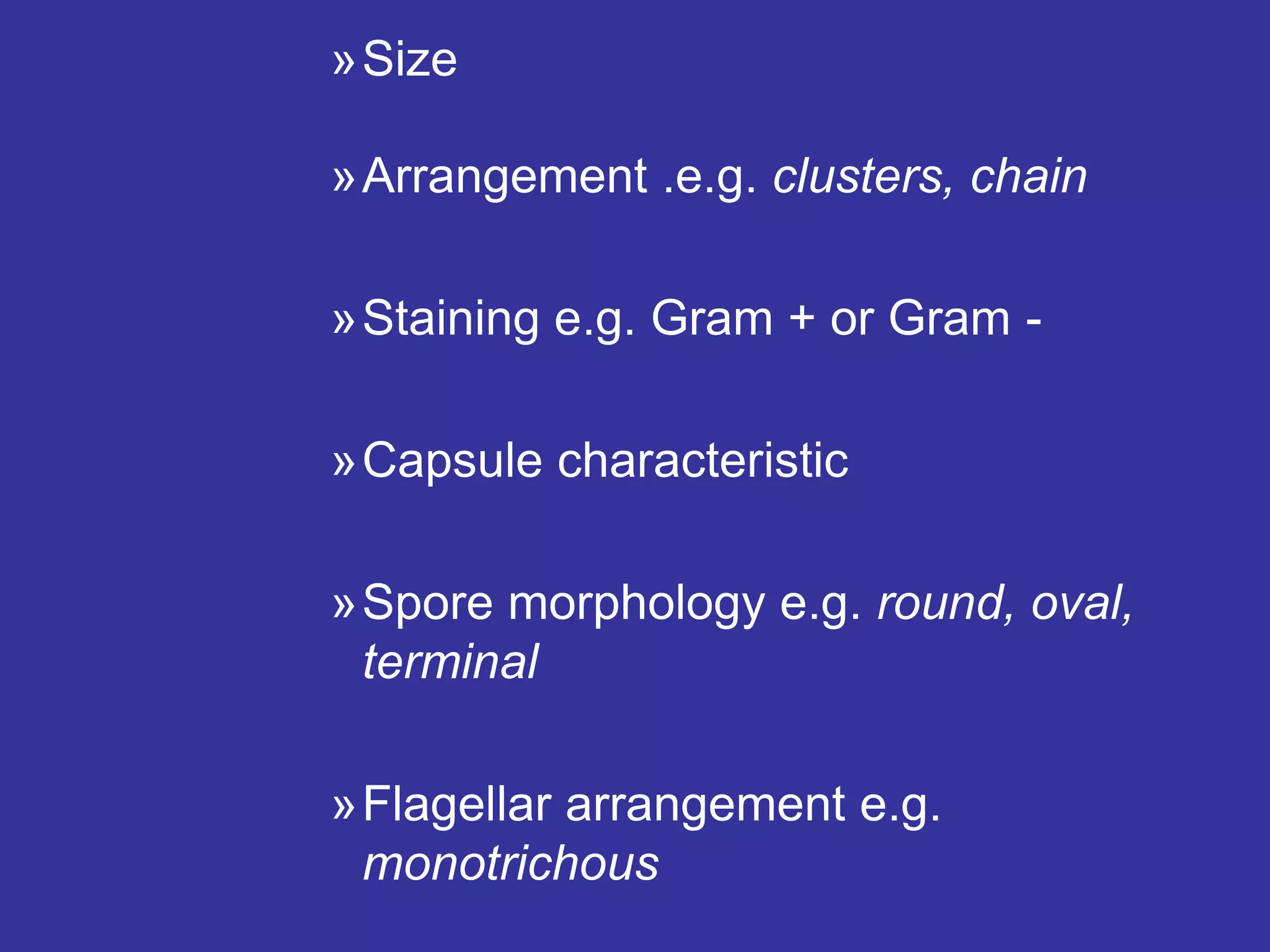 Classification of bacteria.ppt