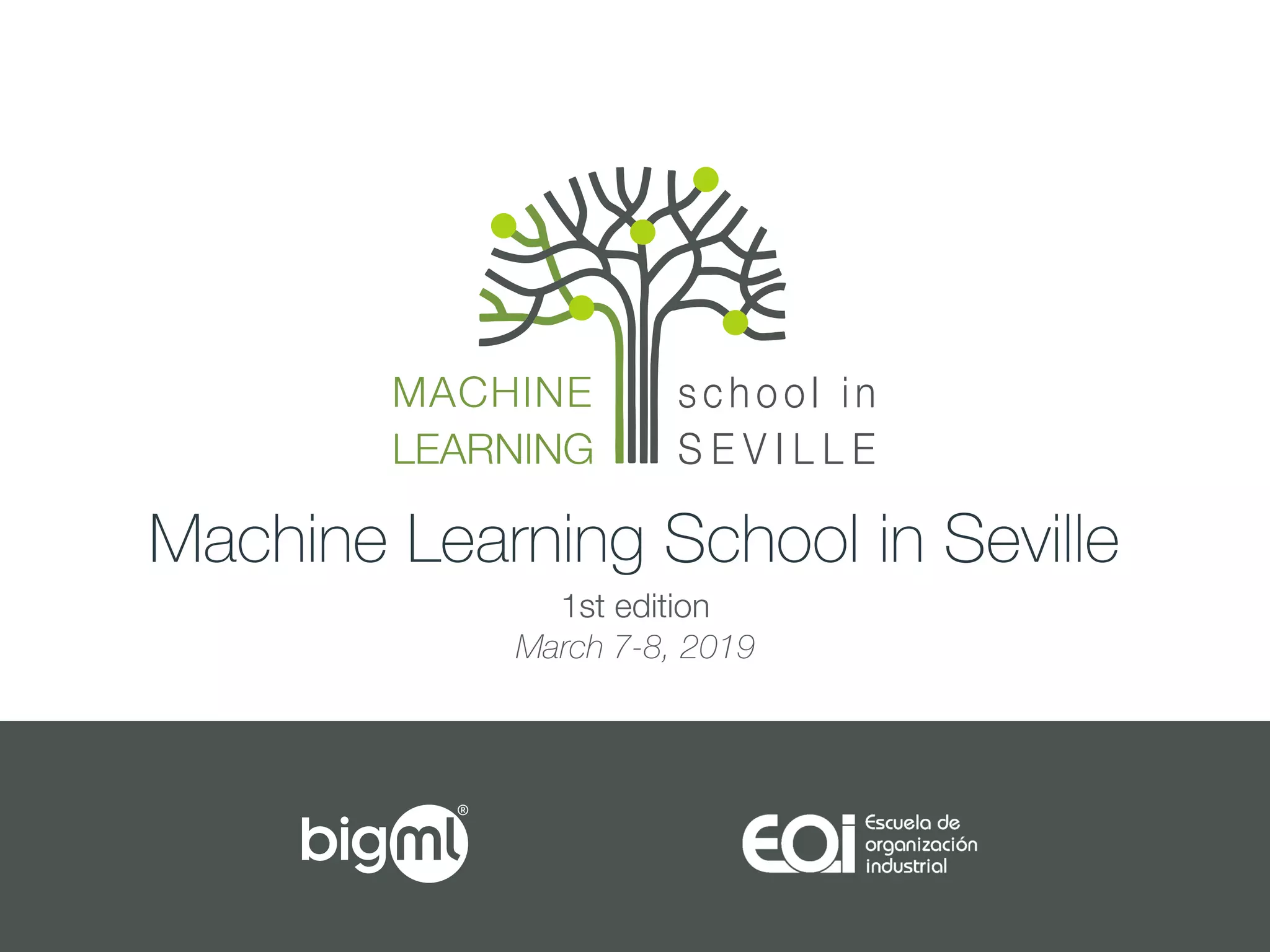 MLSEV. Machine Learning: Business Perspective | PPT