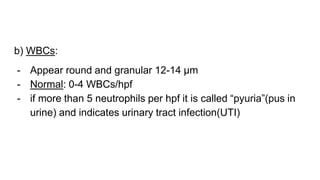 Urine: Microscopic examination - Pathology - MLT, ATOT, RDT | PPTX