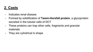 Urine: Microscopic examination - Pathology - MLT, ATOT, RDT | PPTX
