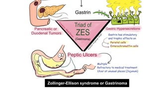 Examination of Body Fluids - Pathology - MLT, ATOT, RDT | PPT