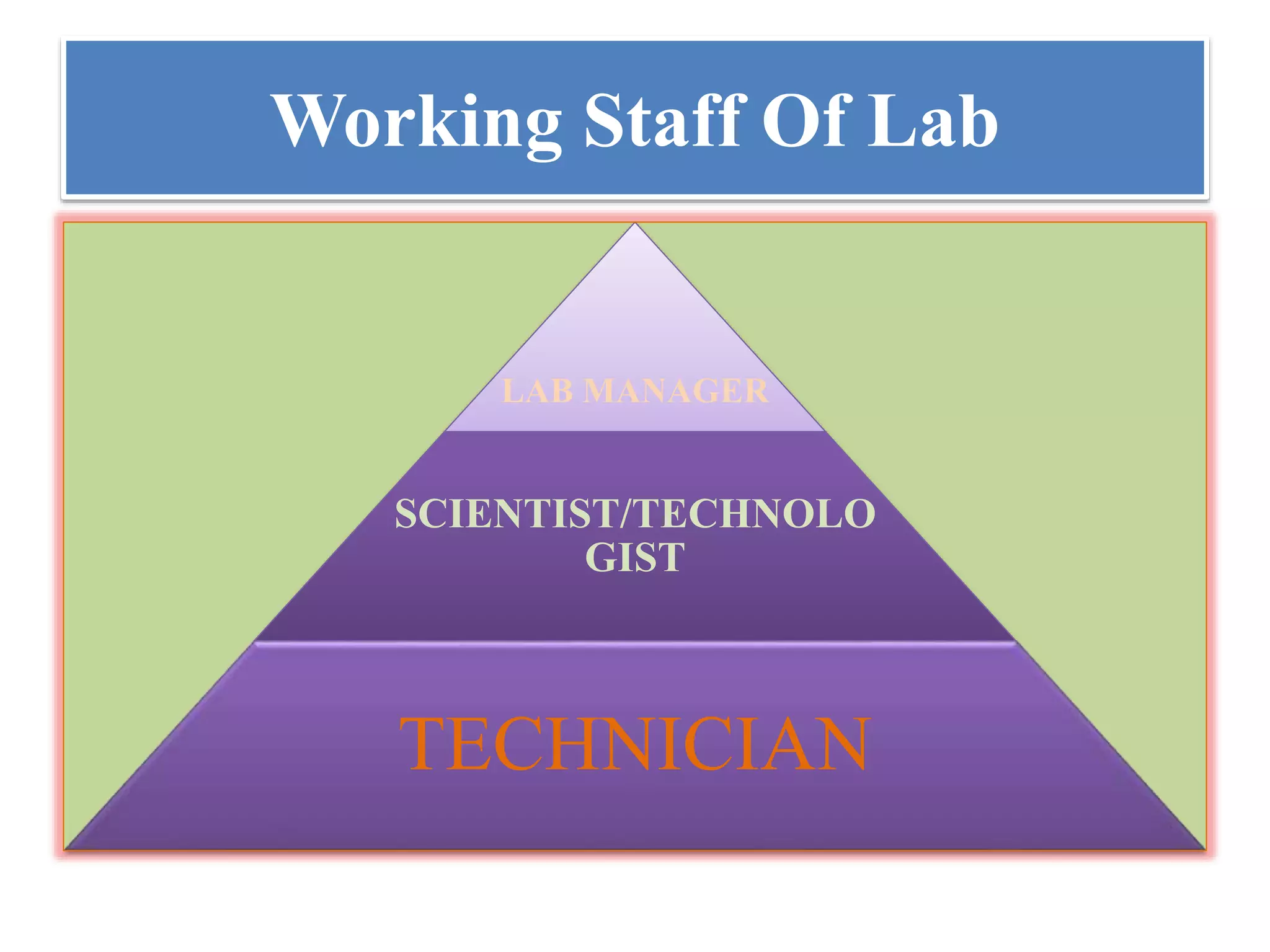 MLT. MEDICAL LAB TECHNOLOGY. MEDICAL LAB SCIENTIST/TECHNOLOGIST | PPT