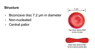 Normal Constituents of Blood - Pathology - MLT, ATOT, RDT | PPTX