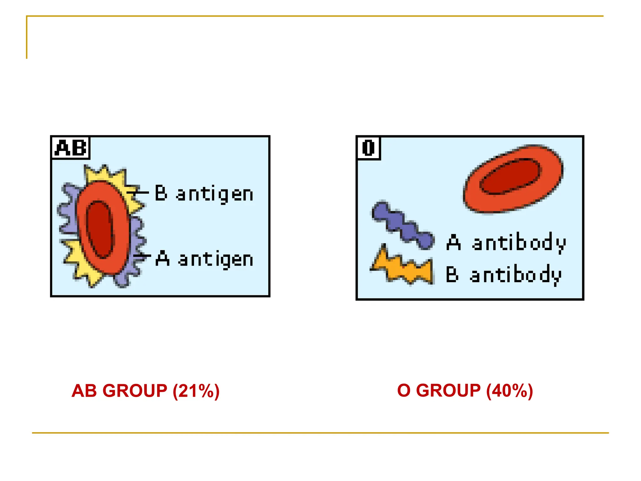mlt-Blood Groups.pptx blood groups presentation | PPT