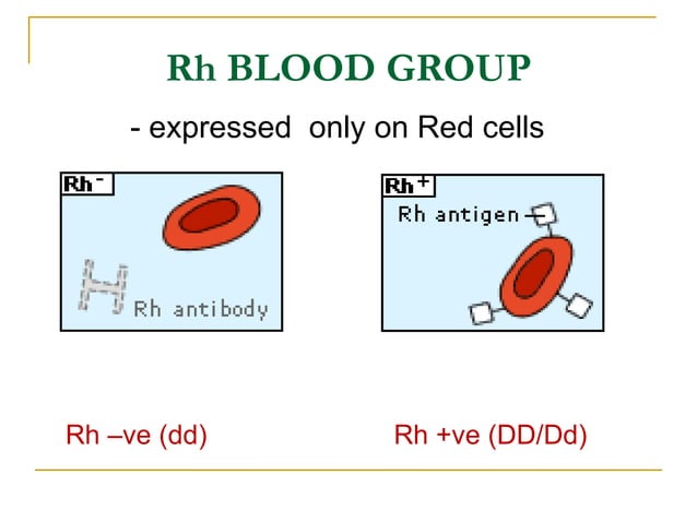 mlt-Blood Groups.pptx blood grouping ppt | PPT