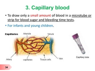 Blood collection, handling, and anticoagulants | PDF