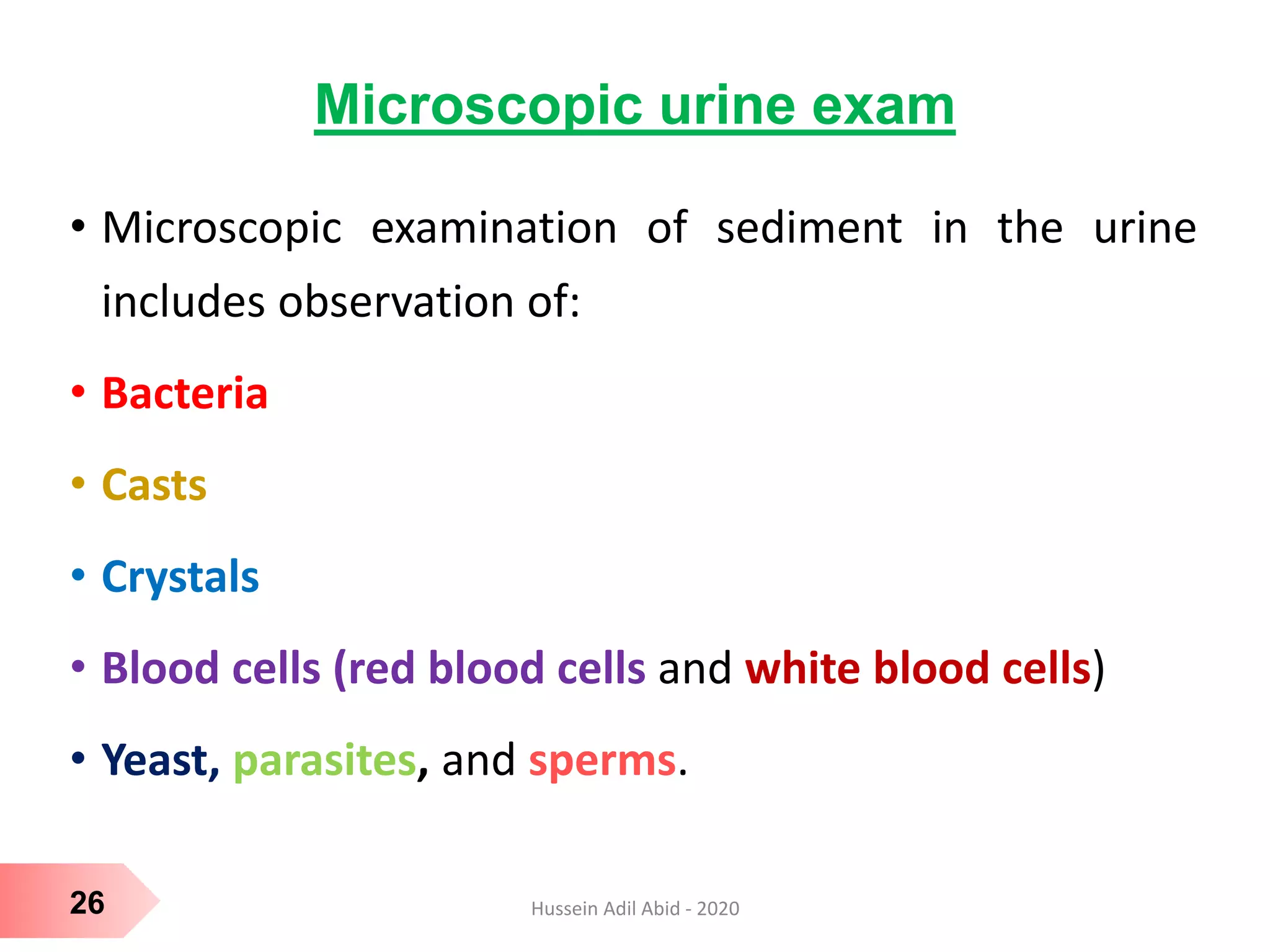 General Urine Examination | PDF