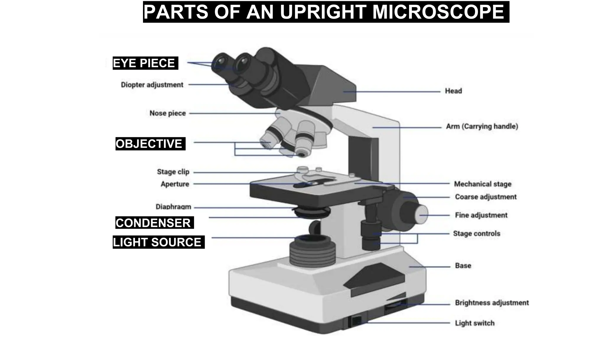 Invertoscope or Inverted microscope - Pathology - MLT | PPTX