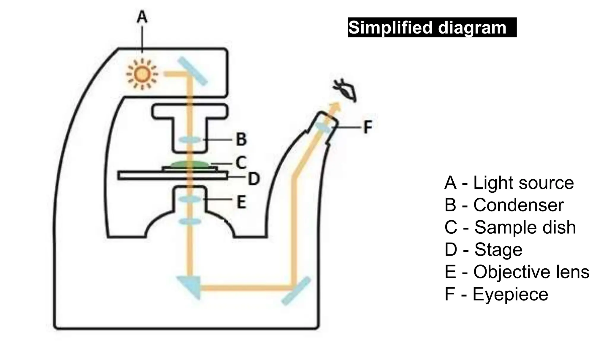 Invertoscope or Inverted microscope - Pathology - MLT | PPTX