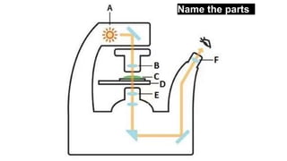 Invertoscope or Inverted microscope - Pathology - MLT | PPTX