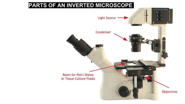 Invertoscope or Inverted microscope - Pathology - MLT | PPTX ...