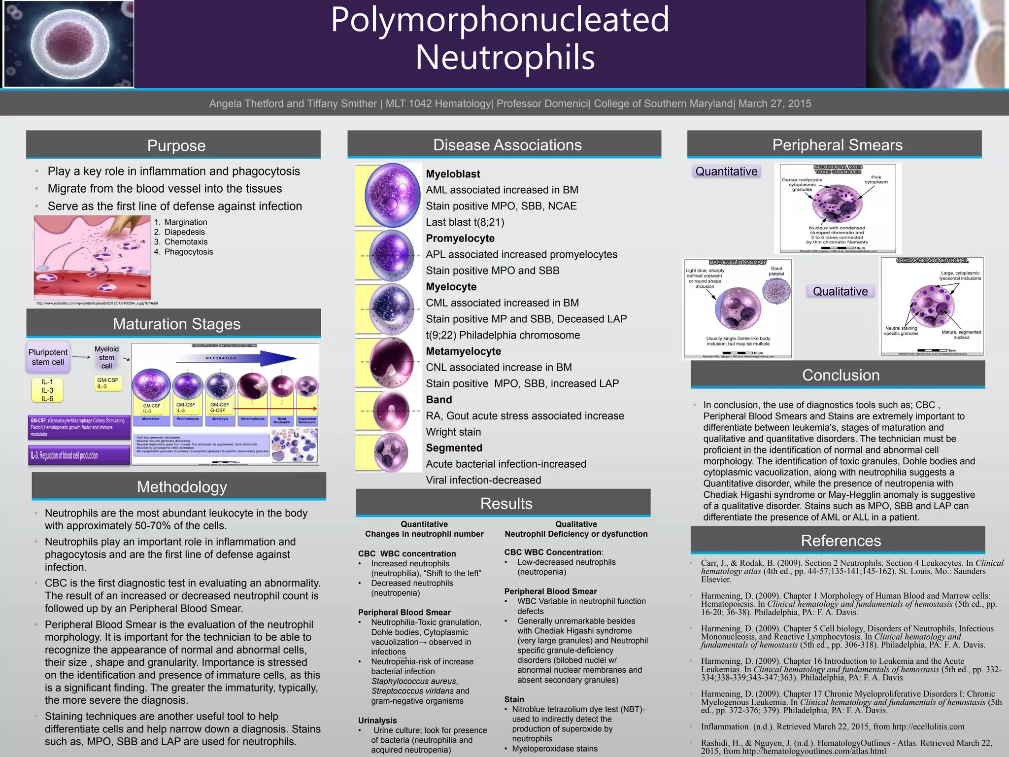 Mlt neutrophils5 | PPTX