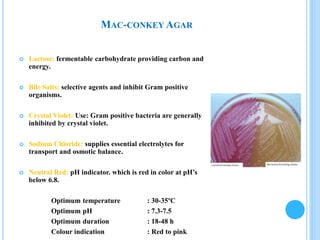 Simple way to understand Microbial Limit Test | PPSX