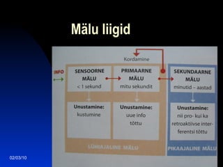 MäLu Liigid | PPT