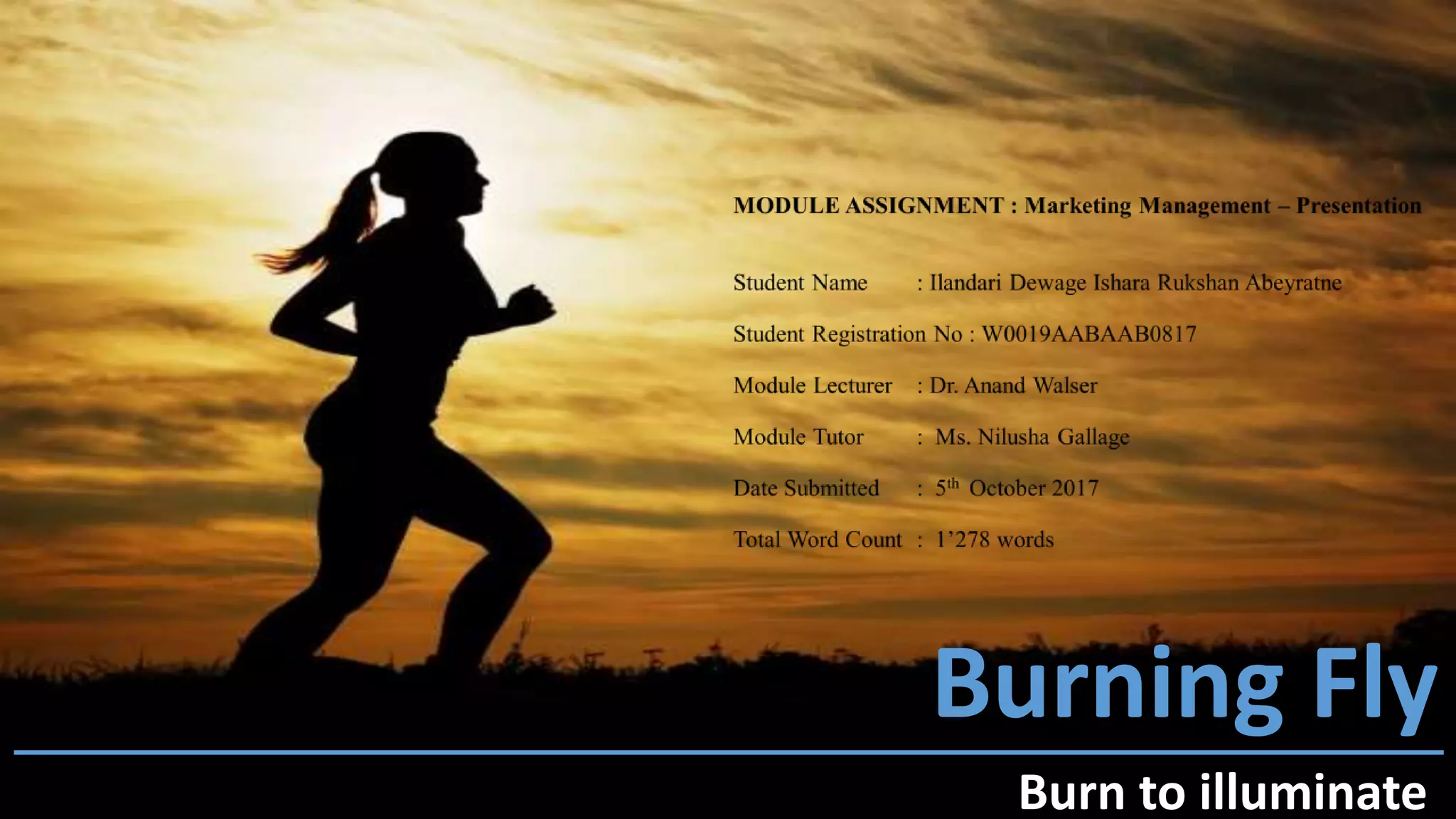 Marketing Management - Burning Fly | PPTX | Commodities | Economy