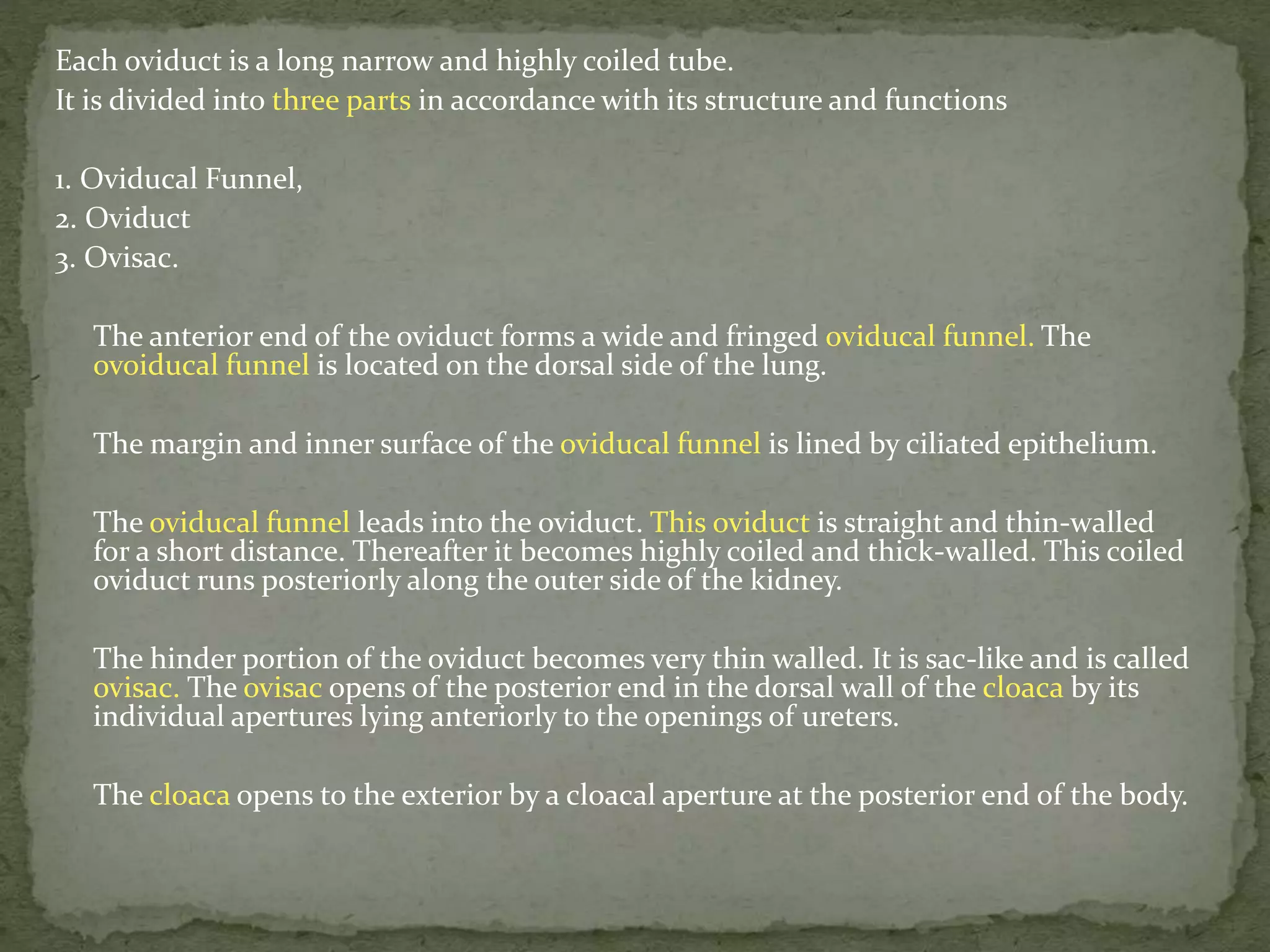 Reproductive system of frog | PPTX