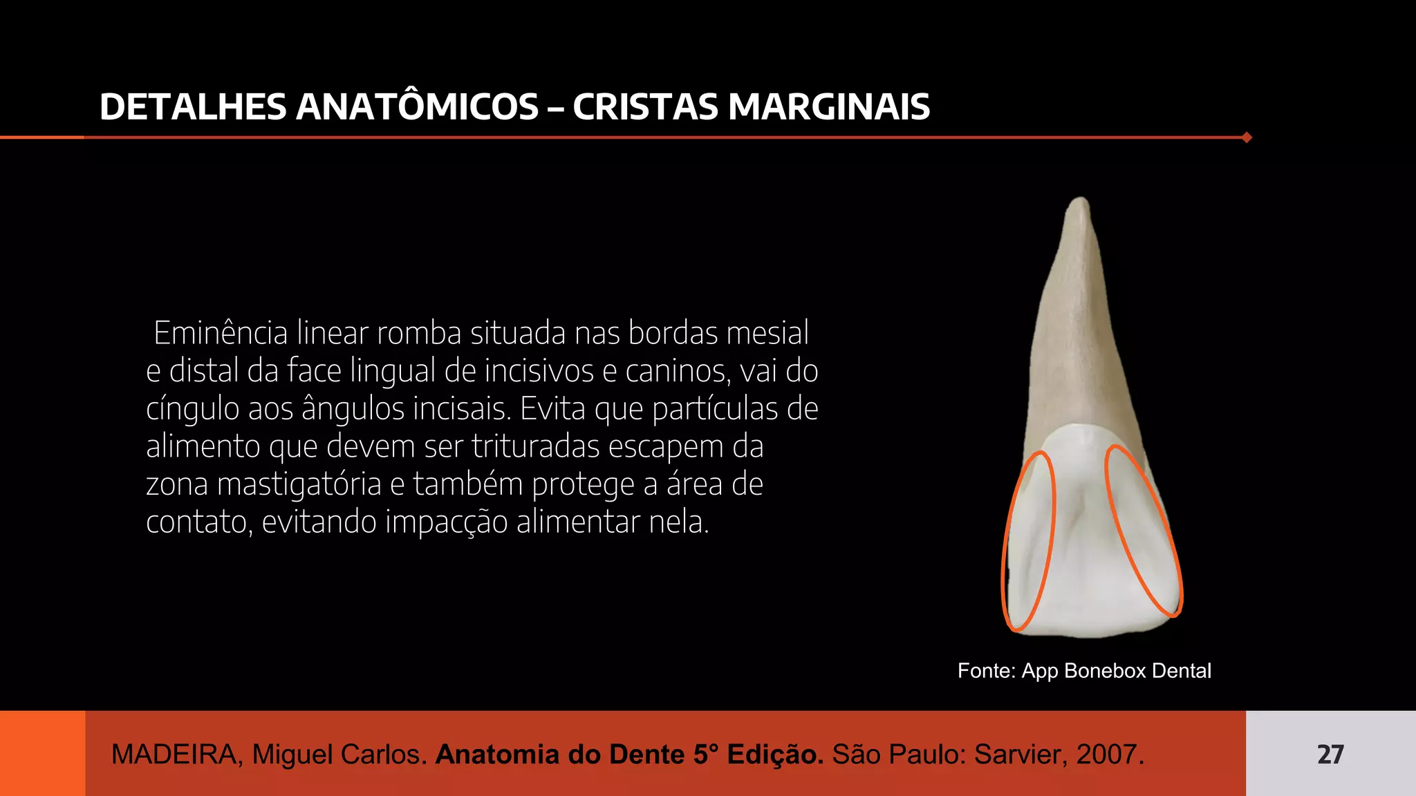 Introdução à Anatomia Dentária e Anatomia dos Dentes Anteriores. | PDF