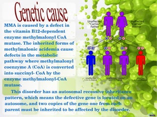 METHYL MALONIC ACIDEMIA | ODP