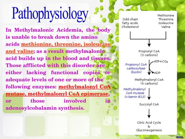 METHYL MALONIC ACIDEMIA | PPT