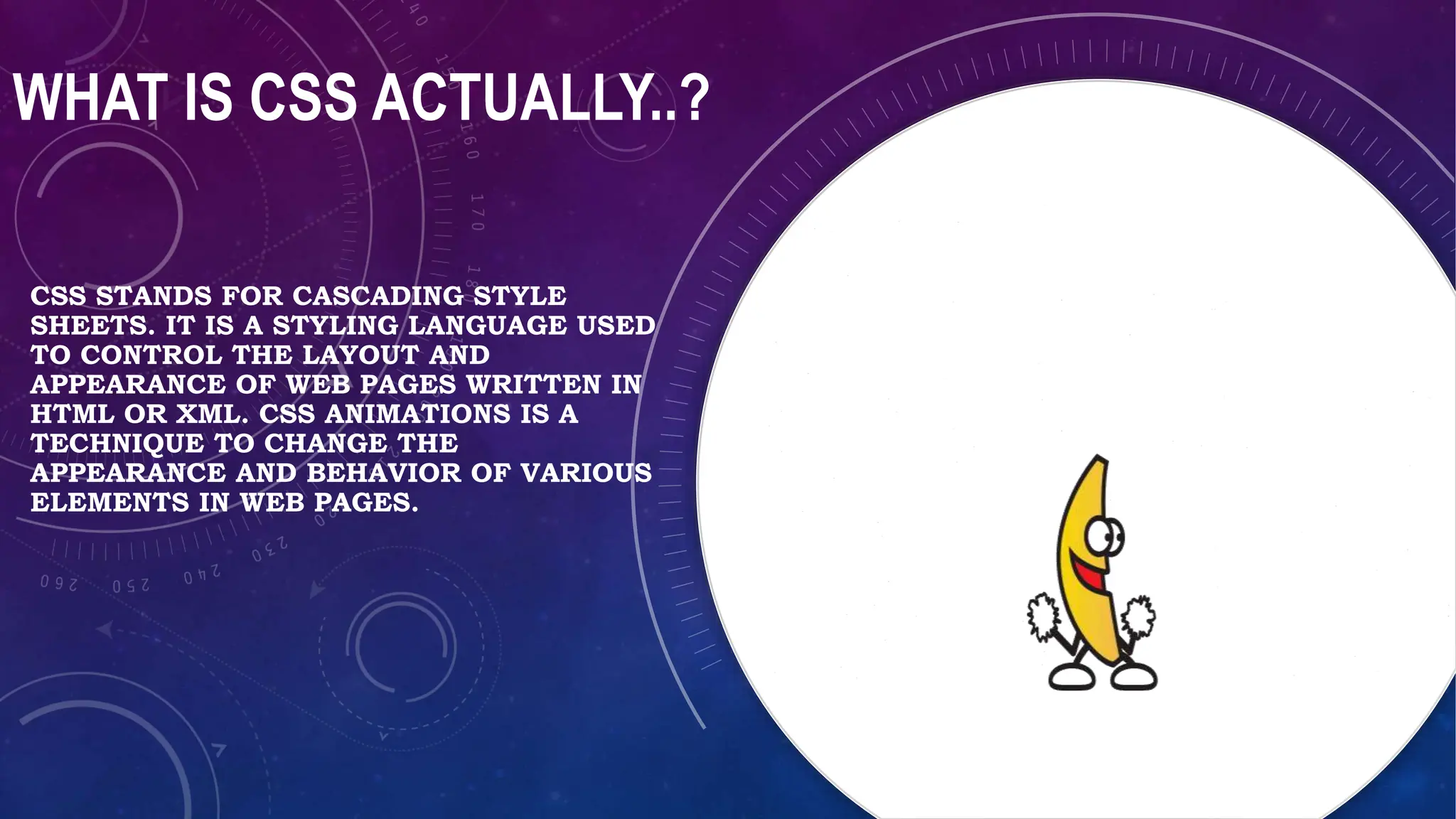 multimedia and animation power point presentation | PPTX