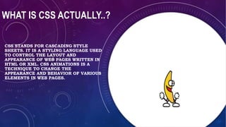 multimedia and animation power point presentation | PPTX