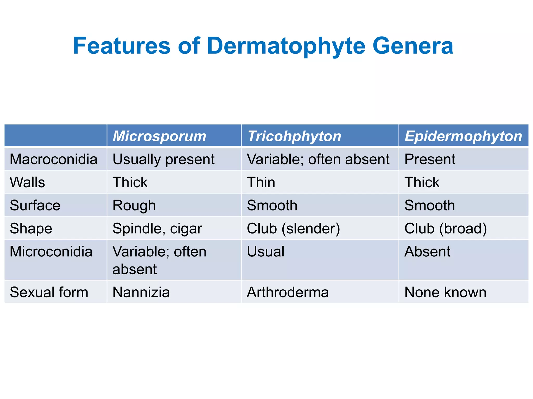 MMA 601_Dermatophytes_2022.pdf