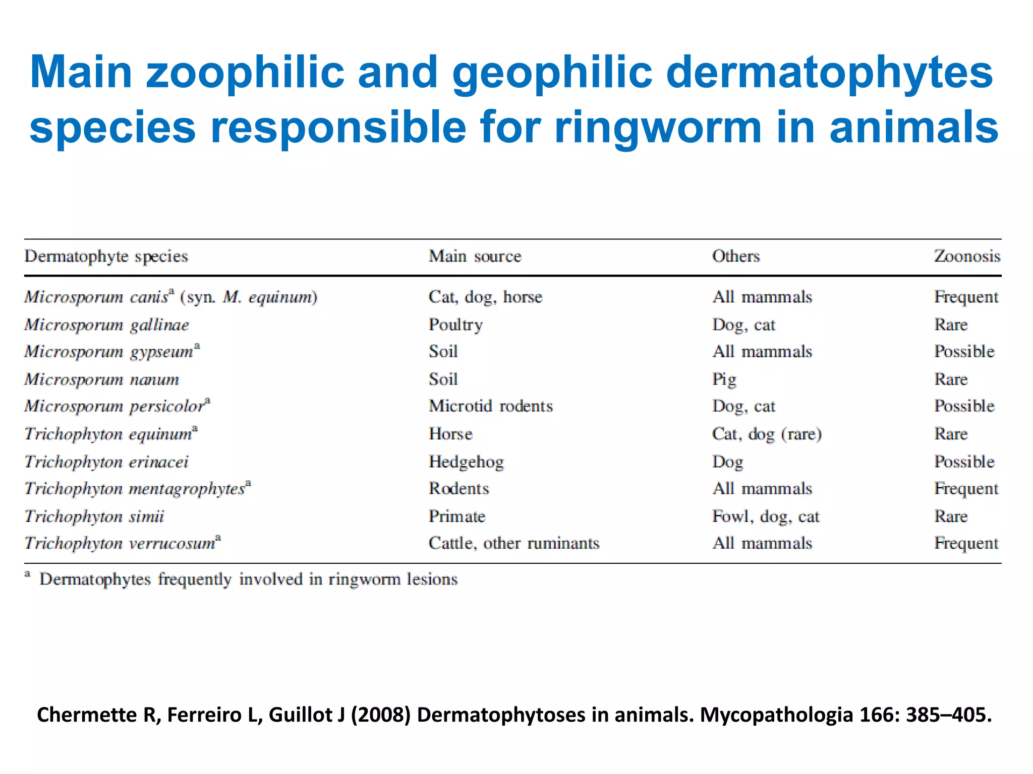 MMA 601_Dermatophytes_2022.pdf