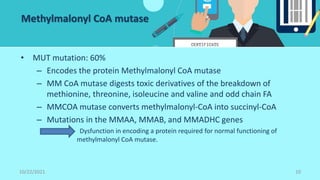 Mma kidney | PPT