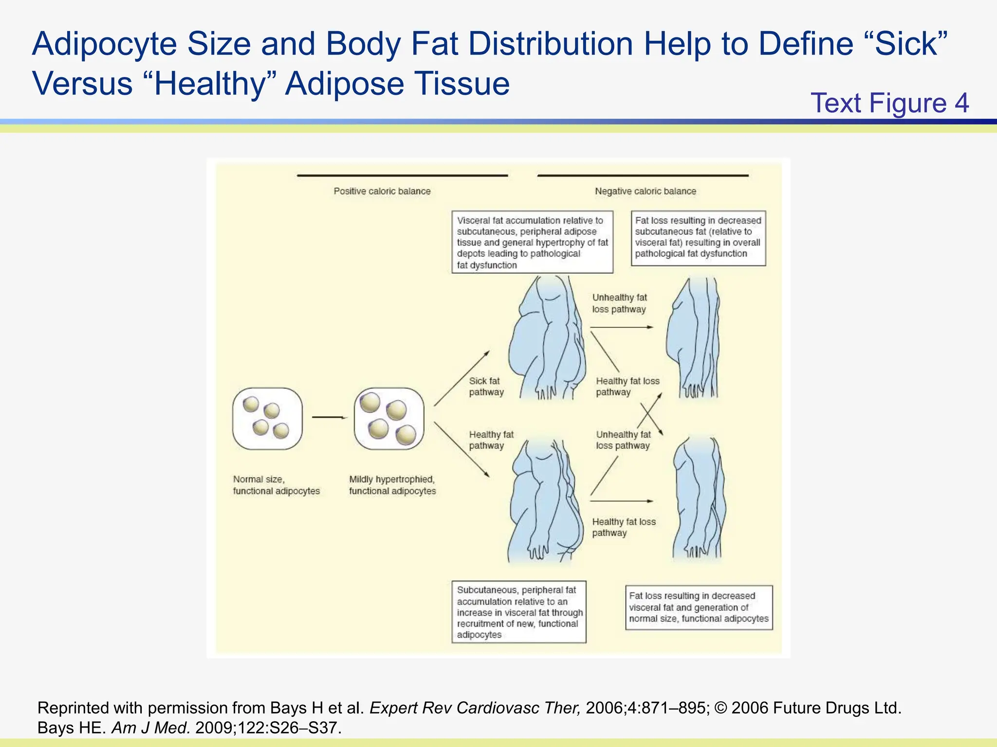 mmc1 fatty acid chemistry and disease.ppt
